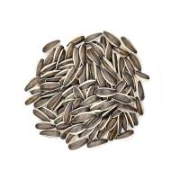 China Bulk sale 25kg/bag of high-quality sunflower seeds from Inner Mongolia in China for sale