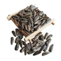 China Amazon hot sale Sell high-quality sunflower seed raw materials that meet Egypt's import requirements for sale
