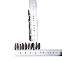 China Amazon hot sale Sell high-quality sunflower seed raw materials that meet Egypt's import requirements for sale