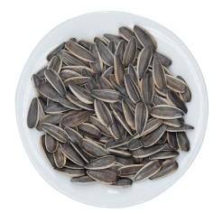 China Wholesale large grain sunflower seeds have complete models and reliable quality for sale