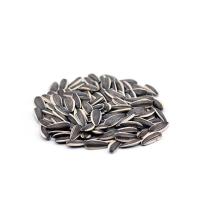 China High-quality raw materials for large sunflower seeds exported to turkey Amazon’s best-selling products for sale