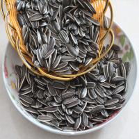 China High-quality raw materials for large sunflower seeds exported to turkey Amazon’s best-selling products for sale