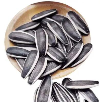 China Amazon hot sale Wholesale of high-quality sunflower seed raw materials for oil extraction for sale