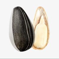 China Amazon hot sale Wholesale of high-quality sunflower seed raw materials for oil extraction for sale
