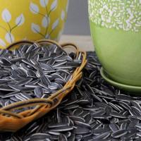 China Wholesale of cheap raw materials for roasted sunflower seeds from China for sale