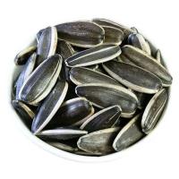 China Sunflower Seeds 5009 The Perfect Match for Your Customer Requirements for sale