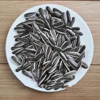 China Bulk Inner Mongolia Raw Material Large Type 363/361 Organic Sunflower Seeds Cheap Price for sale
