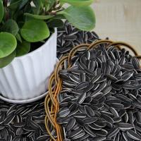 China Delicious and Nutritious Sunflower Seeds 3668 for Your Daily Snack for sale