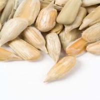 China China manufacturers wholesale confectionery grade sunflower seed kernel for snack for sale