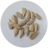 China wholesale cheap price barkey grade China sunflower seed kernel Best seller on Amazon for sale