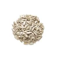 China wholesale cheap price barkey grade China sunflower seed kernel Best seller on Amazon for sale