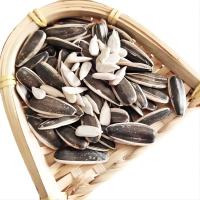 China wholesale cheap price barkey grade China sunflower seed kernel Best seller on Amazon for sale