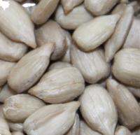 China High quality confectionery grade and barkey grade sunflower seed kernel for snack with cheap price for sale