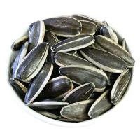 China Newest Crop Year Sunflower Seeds for Delicious Snacks and Better Service for sale