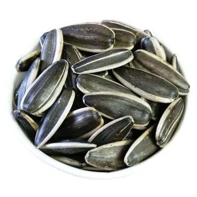 China Newest Crop Year Sunflower Seeds for Delicious Snacks and Better Service for sale
