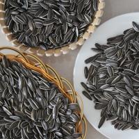 China Hot sale 361/363/5009 sunflower seeds with cheap price in 2025 from factories in China for sale