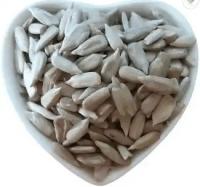 China Amazon hot sale Bulk Quality Food Sunflower Seeds Wholesale raw sunflower seeds kernels for sale