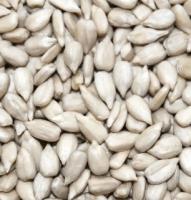 China Amazon hot sale Bulk Quality Food Sunflower Seeds Wholesale raw sunflower seeds kernels for sale