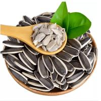 China Nutritious Hulled Sunflower Hearts Perfect for Your Customers for sale