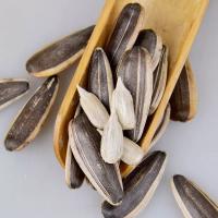 China Human Consumption Sunflower Seeds Black Sunflower Kernel 361/601/3638/0409 Wholesale Price High-class Amazon’s best-selling products for sale