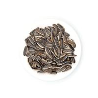 China Human Consumption Sunflower Seeds Black Sunflower Kernel 361/601/3638/0409 Wholesale Price High-class Amazon’s best-selling products for sale