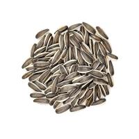 China Amazon hot sale Wholesale best Quality China Manufacturer Sunflower seeds 363 for sale