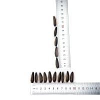 China Amazon hot sale Wholesale best Quality China Manufacturer Sunflower seeds 363 for sale