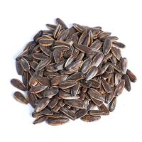 China Customized Wholesale Healthy Snacks Sunflower Seeds Market Price with Export Sunflower Kernels for sale