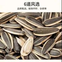 China New year Chinese Factory wholesale Coconut Flavored Roasted Sunflower Seeds for sale