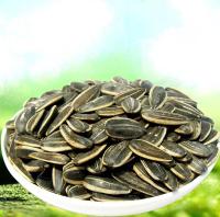China Wholesale Nutrition Food High Quality XL Five Spice Flavor Roasted Sunflower Seeds Best Price ODM OEM for sale