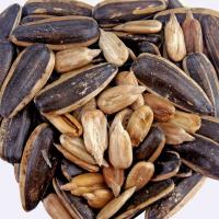 China Wholesale Nutrition Food High Quality XL Five Spice Flavor Roasted Sunflower Seeds Best Price ODM OEM for sale