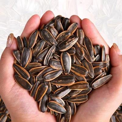 China Popular in Amazon: delicious and healthy snack roasted sunflower seeds bulk sale for sale
