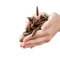 China Foreign Matters Absent Buyers Try Our 100% Pure Natural Toasted Sunflower Nuts for sale
