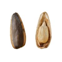 China Five-scented roasted sunflower seeds and melon seeds are available in a variety of specifications supplier for sale