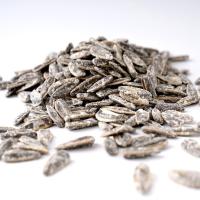 China Amazon hot selling factory wholesale bulk and bag sea salt sunflower seeds for sale