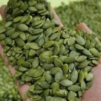 China A Large Number Of Roasted /Cooked Pumpkin Seeds Exported To Southeast Asia In bulk OEM/ODM for sale