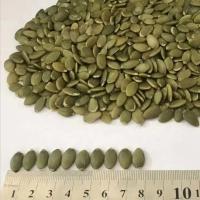 China Competitive Price Bulk Supply Organic Pumpkin Kernel Pumpkin Seed hot selling in Amazon for sale