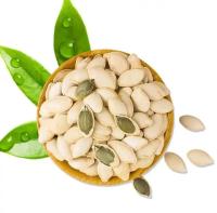 China Wholesale Raw Processing Top Grade Non GMO Hulled Pumpkin Seed Kernels Competitive Price for sale