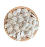 China Amazon hot selling Wholesale Shine Skin Pumpkin Kernels from China for sale