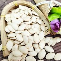 China Amazon hot selling Wholesale Shine Skin Pumpkin Kernels from China for sale