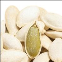 China Amazon hot sale Shine skin pumpkin seeds Non GMO, Keto Snacks, Paleo, Gluten Free, Vegan, Organic, Plant Based, High Protein for sale