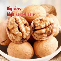 China Lowest Price Wholesale Factory Price Xinjiang Xingfu Washed and Unwashed walnuts for sale