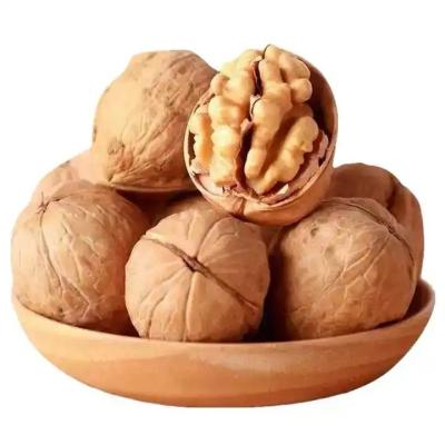 China China Fastest Shipping and Freshest Natural 185 Walnut kernel without shell for sale