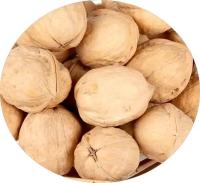 China Factory wholesale bulk and bag sunflower seeds Amazon’s best-selling products for sale