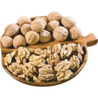 China Wholesale Chinese Low Price High Quality Chinese Healthy Raw Dried Butterflies Crop Raw Walnut Shell Dry Fruit Dry & Cool 0 5va for sale