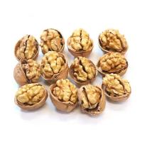 China Wholesale Chinese Low Price High Quality Chinese Healthy Raw Dried Butterflies Crop Raw Walnut Shell Dry Fruit Dry & Cool 0 5va for sale