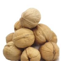 China Walnuts Current New Crop In shell best choice Nut, Number one quality - Packed in a 5 lbs. (80 oz.) Bag/Box for sale