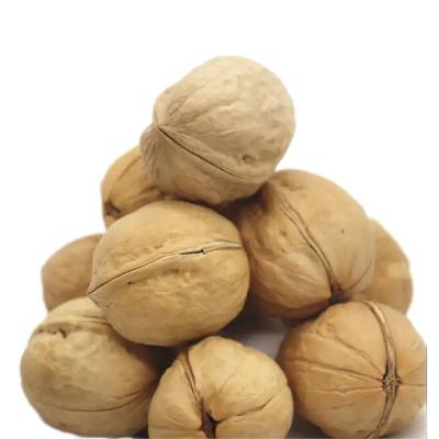 China Walnuts Current New Crop In shell best choice Nut, Number one quality - Packed in a 5 lbs. (80 oz.) Bag/Box for sale