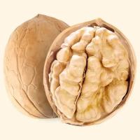 China China wholesale XinJiang 185 33 xiner xinfeng xingfu walnuts in shell with extra light walnut prices for sale