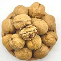 China Good Quality China Big Size 32mm+/34mm+ Top Thin Raw Cashew Nuts Wholesale Raw Peanut in a Shell Powder Milk 25kg Raw Dried for sale